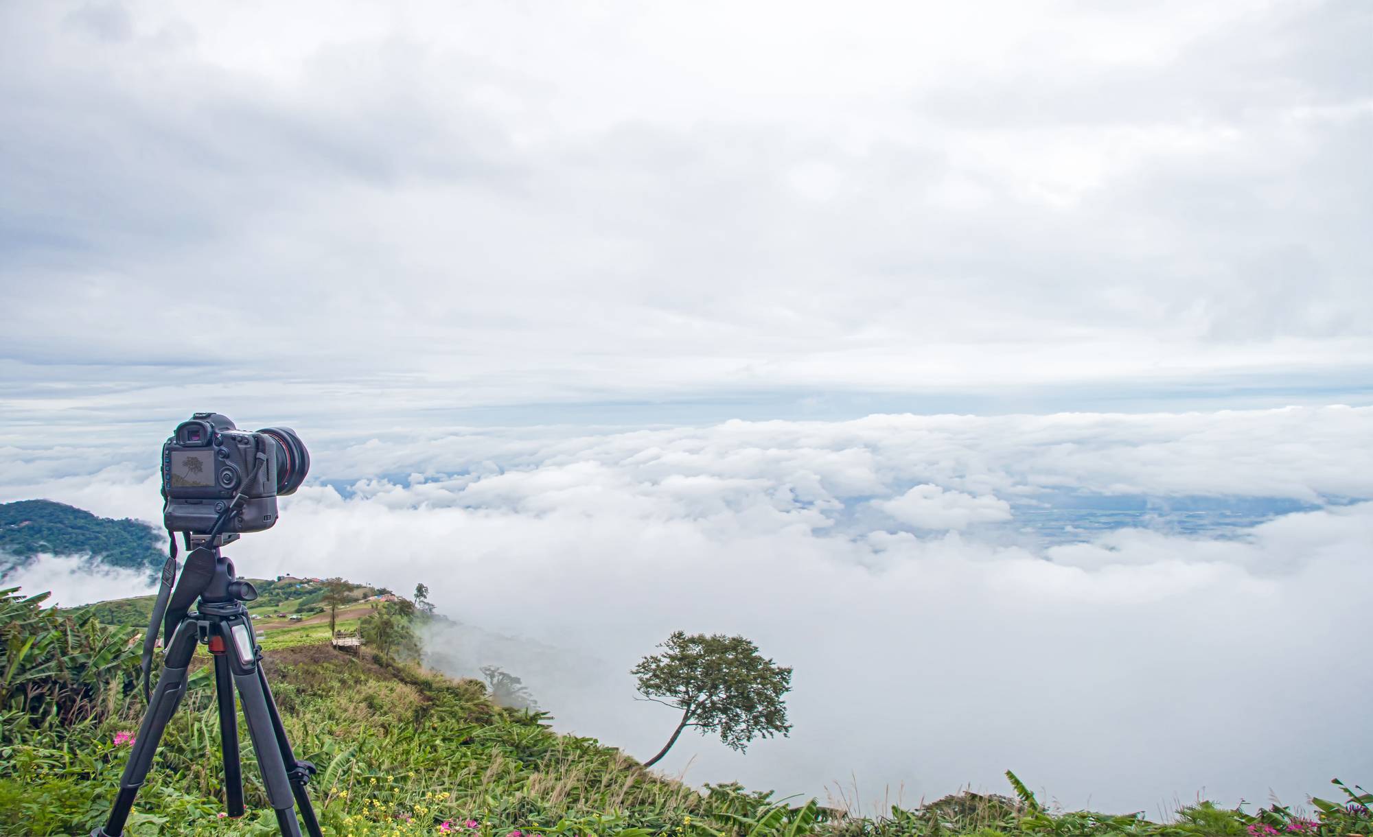 Home - Capture That Snap